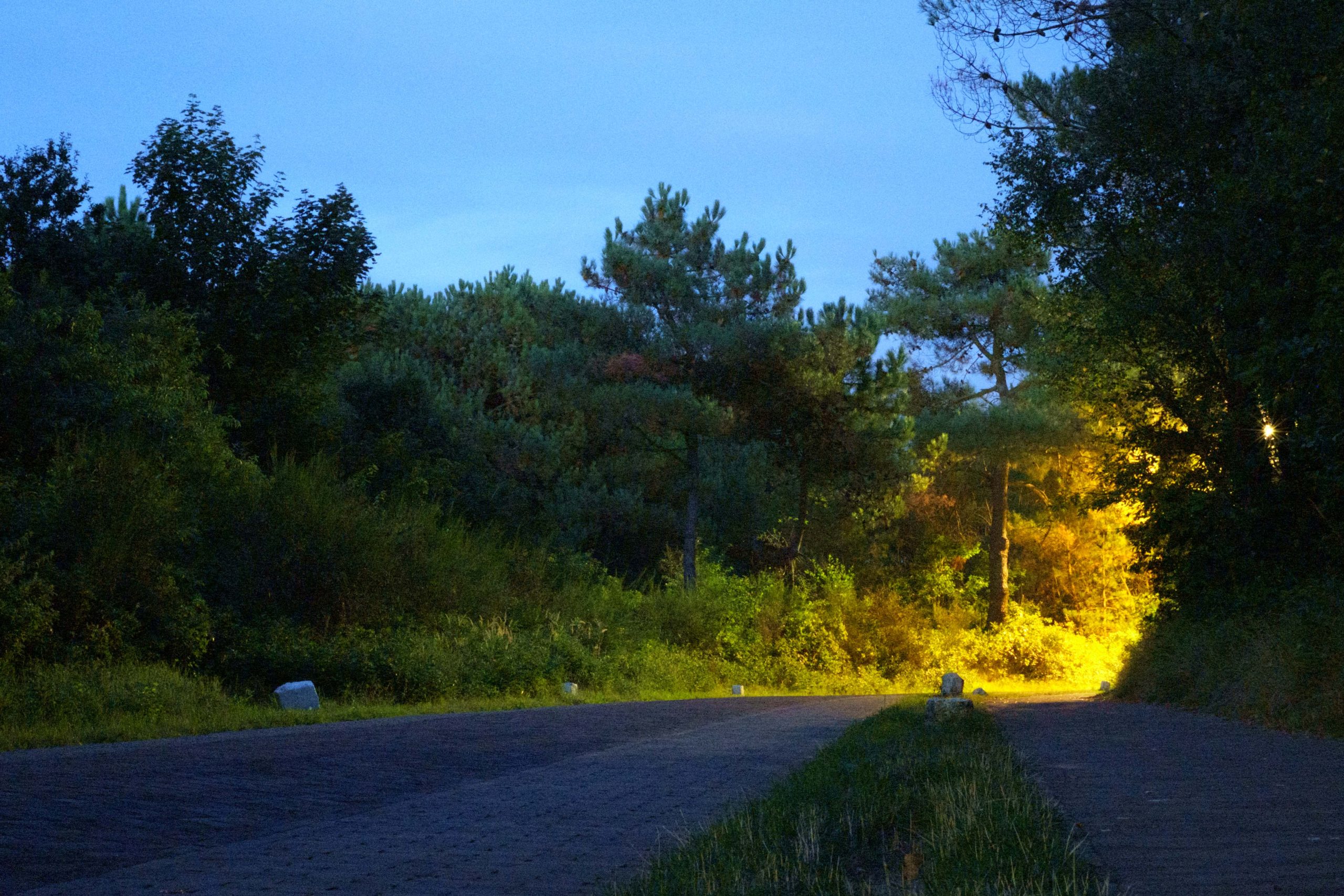 Frank Hartman - Frank Hartman